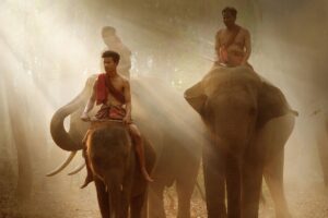 Elephants in Thai Culture History, Myths, and Modern Shifts – Elephant ...